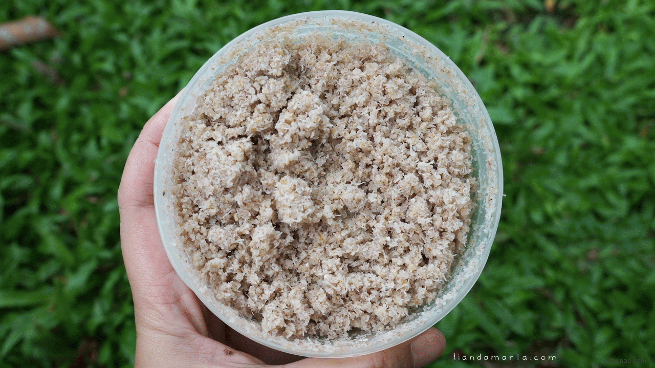 Review Kall Me Koko, Yummy Lip Scrub, dan Tea Tree Oil | liandamarta.com