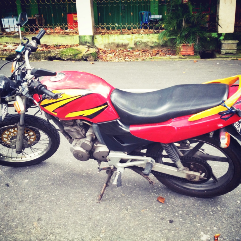 #CeritaTanggal7 : Tiger Merah Legendaris | liandamarta.com